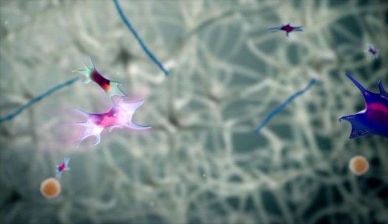 Hyalo4 Skin - fidiawoundcare.com